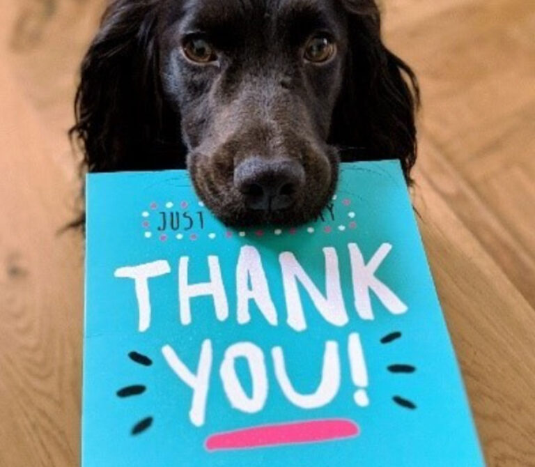 PROPS - Family Recovery Service